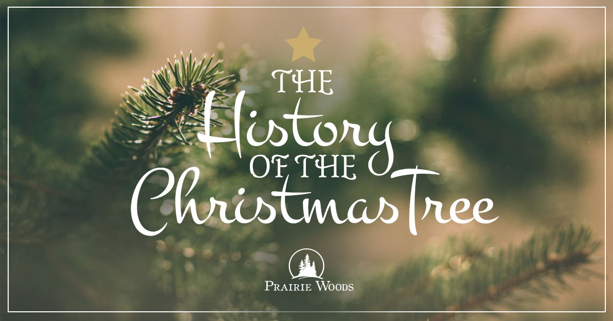The History of the Christmas Tree Slides • Prairie Woods
